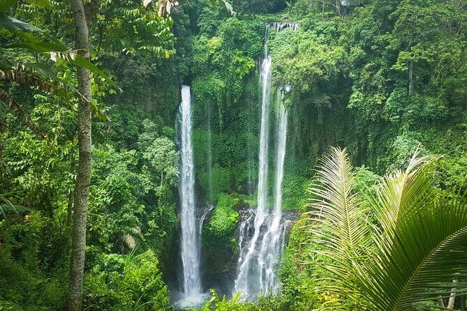 Private Full-Day Sekumpul Waterfall Hiking Tour - The Sum Up