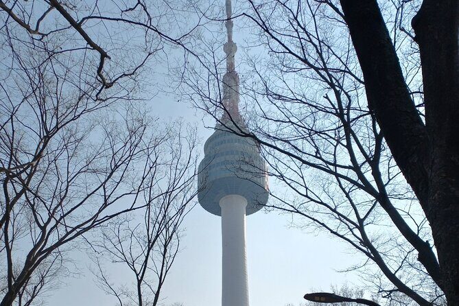 Private Full Day Seoul City Tour and N Tower Cable Car - The Sum Up: The Upshot