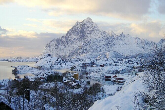 Private Full Day Sightseeing Tour from Svolvær to Å - Real Travelers’ Feedback