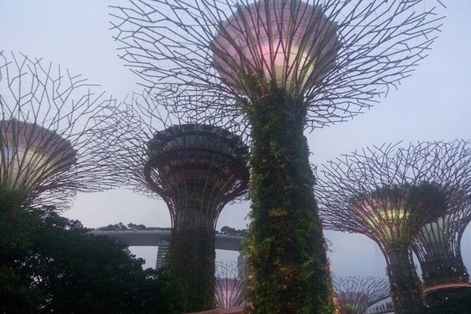 Private Full Day Singapore Highlights Tour - Breaking Down the Itinerary: What to Expect