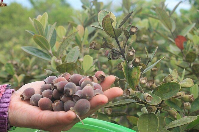 Private Full Day Southern Phu Quoc Island Tour - Insights from Past Travelers