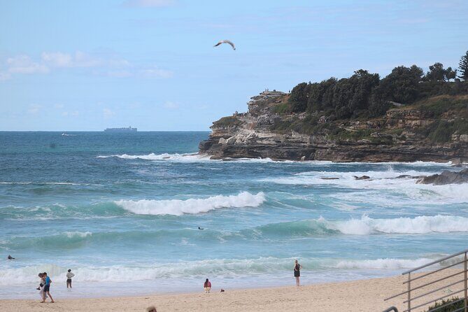 Private Full-Day Sydney Highlights with Bondi Beach Tour - Pricing and Value