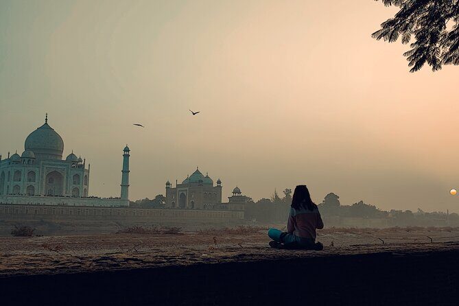 Private Full-Day Taj Mahal and Agra Fort Tour from New Delhi - Why This Tour Makes Sense for You