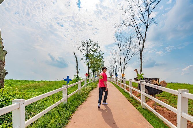 Private Full day Tour Anseong Farm Land with Gwangmyeong Cave - Why Choose This Tour?