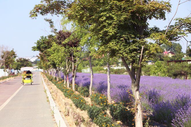 Private Full day Tour Anseong Farm Land with Gwangmyeong Cave - Uiwang Railpark: A Scenic and Active Finale