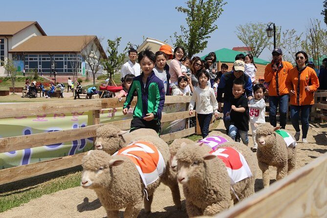 Private Full day Tour Anseong Farm Land with Gwangmyeong Cave - Value for Your Money
