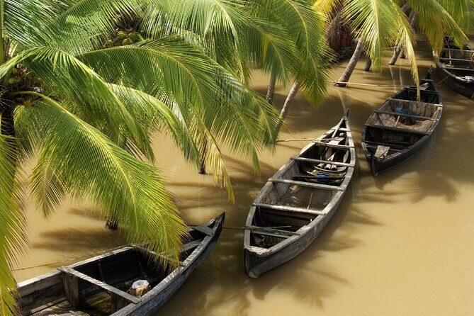 Private Full Day Tour: Authentic Mekong Delta Life in Ben Tre - Key Points