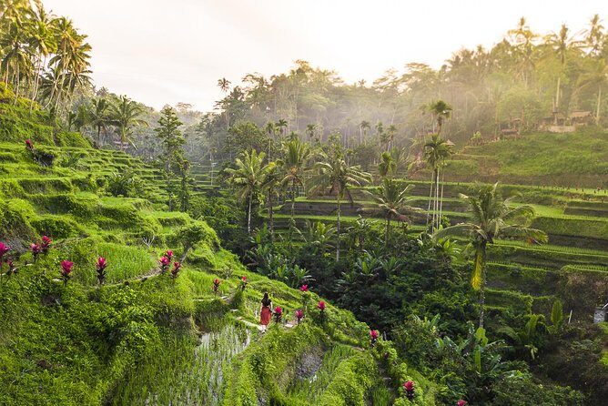 Private Full-Day Tour: Balinese Temples and Rice Terraces - A Breath of Fresh Air at Tegalalang Rice Terraces