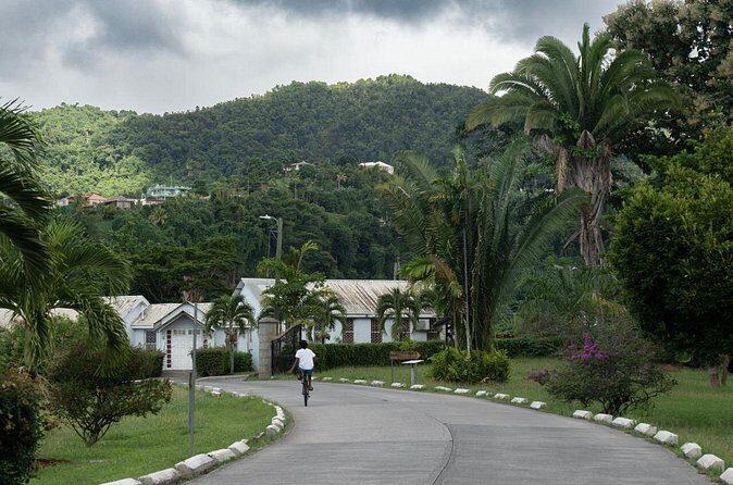 Private Full Day Tour Exploring and Tasting Roseau - Final Thoughts: Is This Tour Worth It?