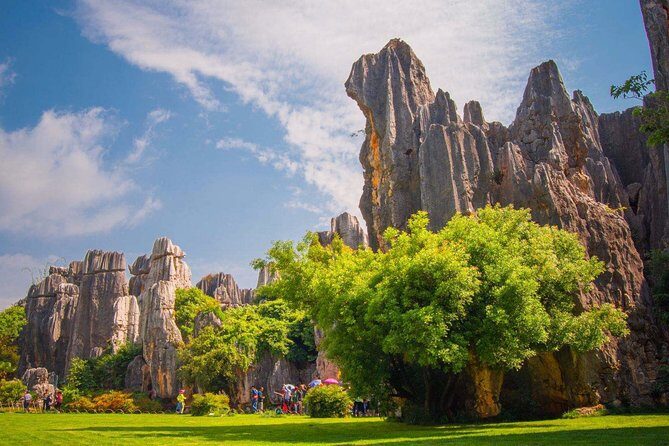 Private Full-Day Tour from Kunming: Stone Forest and Golden Temple - The Stone Forest