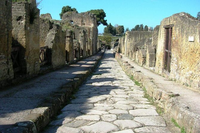 Private full day tour Herculaneum ruins Mt Vesuvio and Winery - Key Points