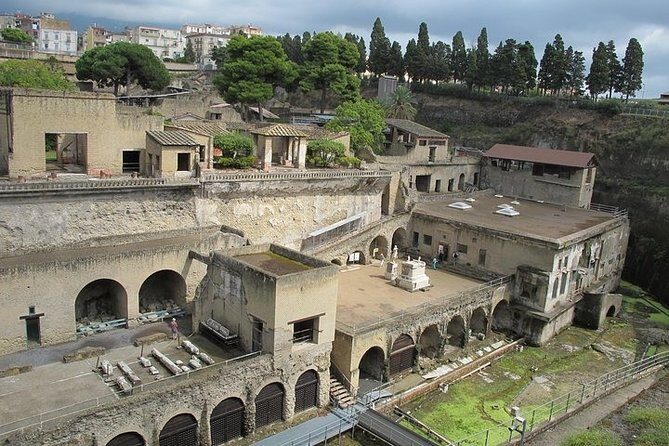 Private full day tour Herculaneum ruins Mt Vesuvio and Winery - Real Traveler Feedback
