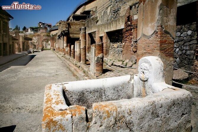 Private full day tour Herculaneum ruins Mt Vesuvio and Winery - Who Should Consider This Tour?