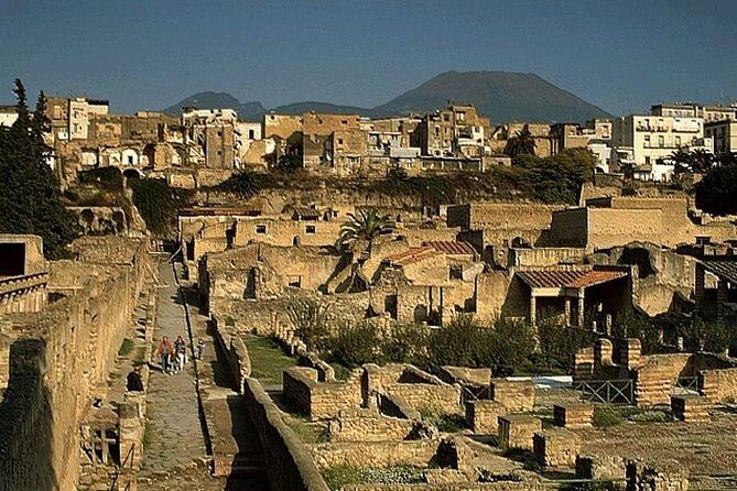 Private full day tour Herculaneum ruins Mt Vesuvio and Winery - FAQs