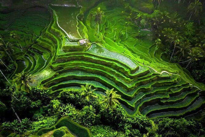 Private Full Day Tour in Enchantment of Ubud - Key Points