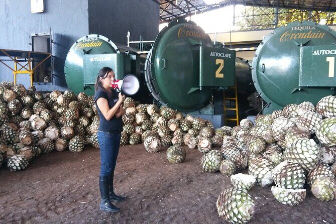 Private Full Day Tour in Guachimontones and Orendain Tequila - The Practical Stuff
