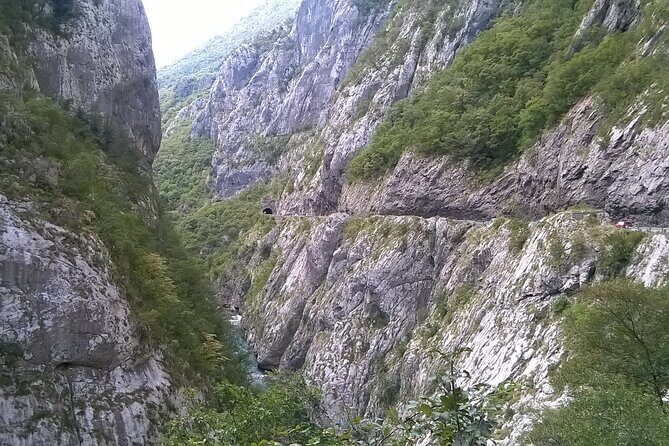 Private Full-Day Tour in Moraca and Tara Canyons, Durmitor & Biogradska Gora NP - A Deep Dive into the Montenegro Full-Day Private Tour
