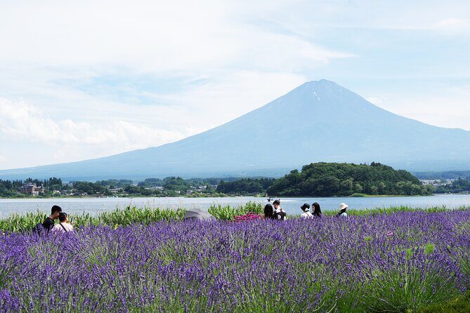 Private Full Day Tour in Mt. Fuji with Pickup - Key Points