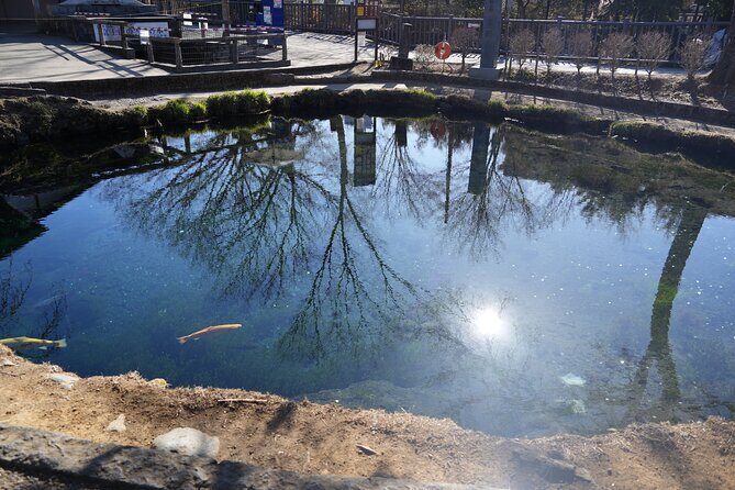 Private Full Day Tour in Mt. Fuji with Pickup - Who Should Consider This Tour?