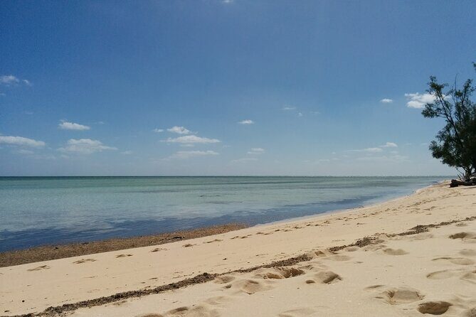 Private Full Day Tour in Nassau - The Sum Up