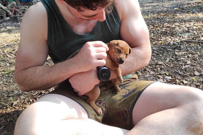 Private Full-day Tour in Quintessence of Ninh Binh - Final Thoughts