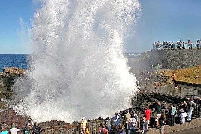 Private Full-Day Tour in Sydney - Key Points