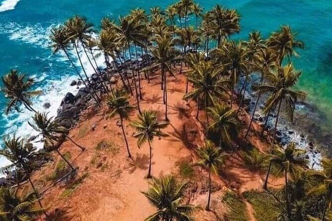 Private Full Day Tour in The Dutch Fort Galle with Pickup - An Authentic Look at the Galle Experience