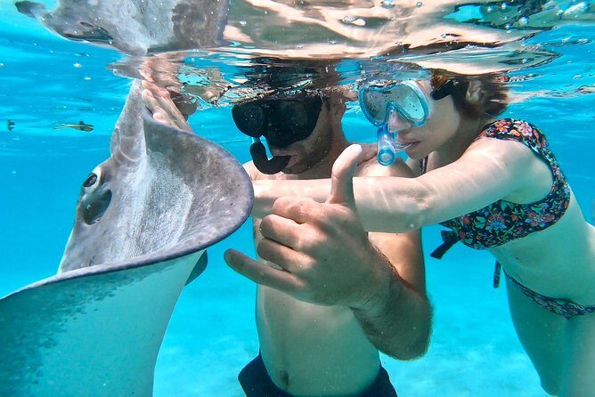 PRIVATE Full Day Tour : Moorea Snorkeling & Sailing on a Catamaran named Taboo - Final Words