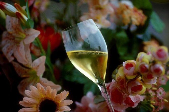 Private Full-Day Tour of Champagne Region - What makes this tour stand out?