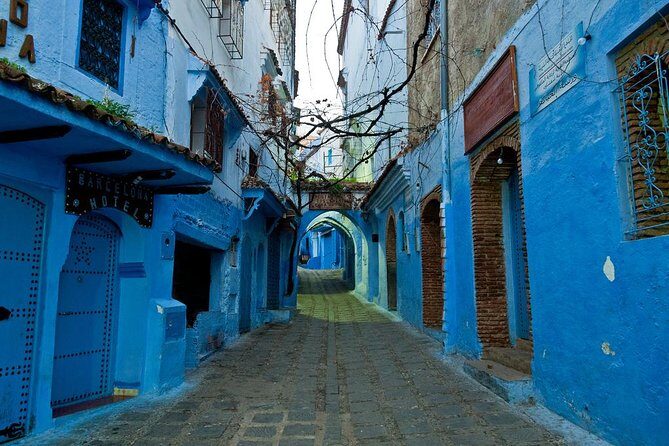 Private Full Day Tour of Chefchaouen from Malaga - What Do Travelers Say?