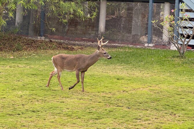 Private Full-Day Tour of Florida Keys from Miami/FLL to Key West - FAQs