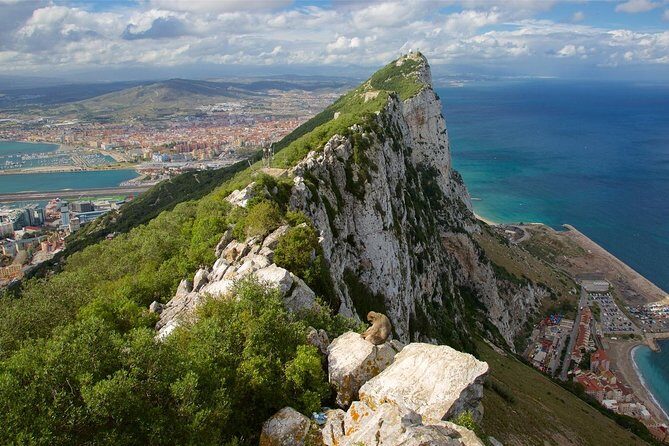 Private Full Day Tour of Gibraltar from Malaga or Marbella - Key Points