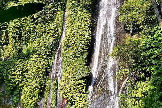 Private Full-Day Tour of Hidden Waterfalls in Bali - Who Should Consider This Tour?
