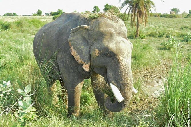 Private Full Day Tour of Jaipur Historical and Heritage Places - The Sum Up