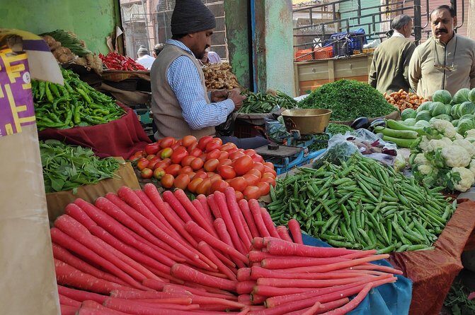 Private Full Day Tour of Jodhpur with Guide - The Sum Up: Is This Tour Right for You?