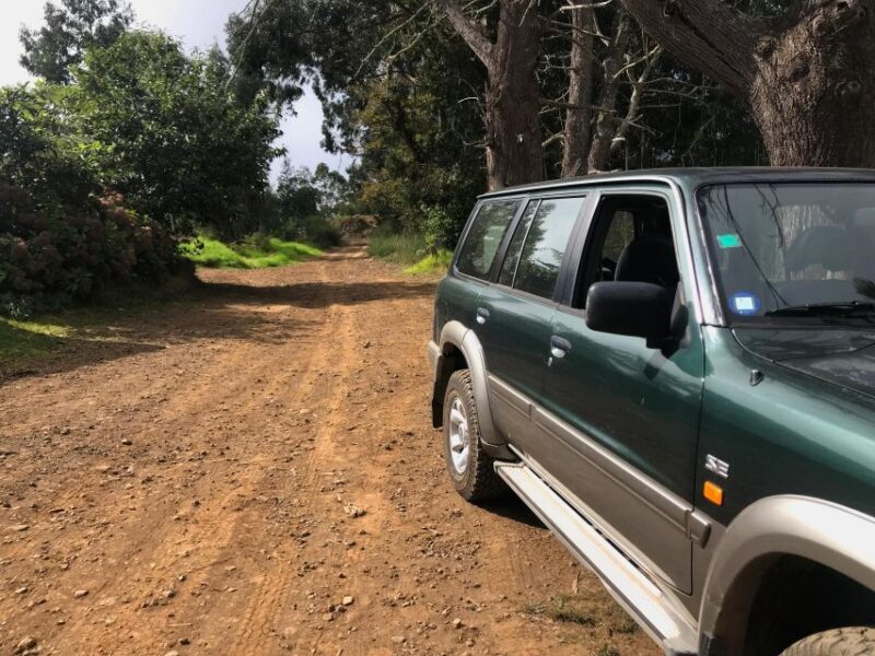 Private Full-Day Tour of North Coast and Laurissilva Forest - An Authentic Madeira Day Out