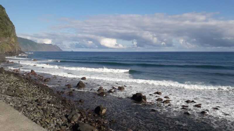Private Full-Day Tour of North Coast and Laurissilva Forest - What Makes This Tour Stand Out