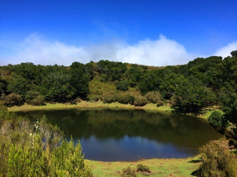 Private Full-Day Tour of North Coast and Laurissilva Forest - Final Thoughts