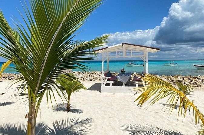 Private Full Day Tour of Punta Cana - Final thoughts