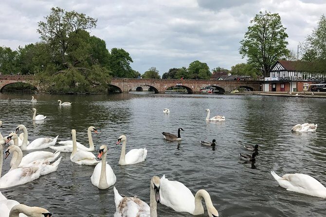 Private Full-Day Tour of Shakespeare's Stratford-Upon-Avon - An In-Depth Look at This Stratford-Upon-Avon Tour