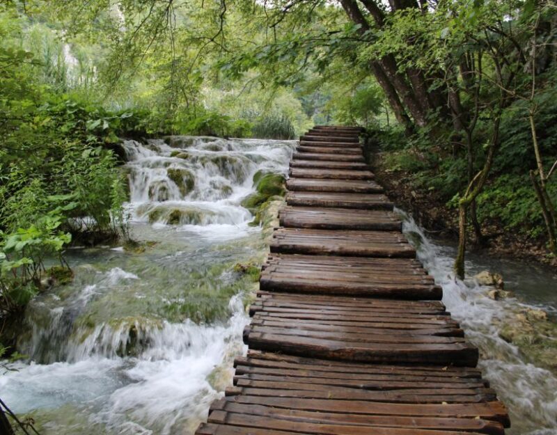 Private Full - Day Tour: Plitvice Lakes from Dubrovnik - Why Choose This Tour?