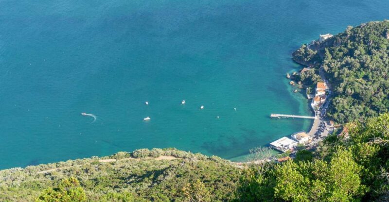 Private Full Day Tour Setubal - Introduction: What You Can Expect from This Tour