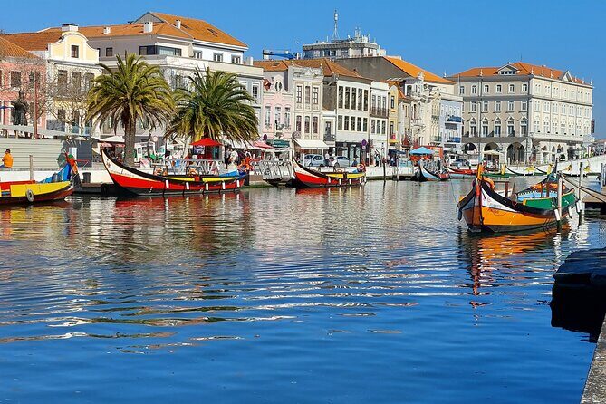 Private Full day Tour to Aveiro and Porto - Exploring the Itinerary: What You Can Expect