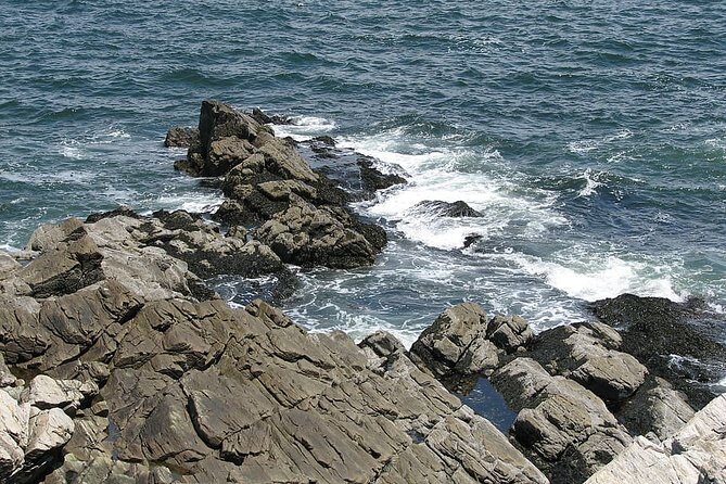 Private Full Day Tour to Coastal Maine from Boston with Hotel pick-up - An Authentic Day in Maine’s Coastline
