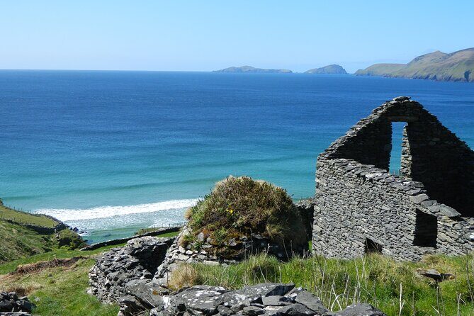 Private Full-Day Tour to Dingle and Slea Head - A Comprehensive Look at the Dingle and Slea Head Experience