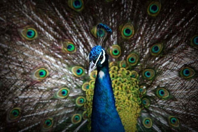 Private Full Day Tour to Harbin Beifang Forest Zoo and Optional Seafood Dinner - What Makes This Tour Stand Out?