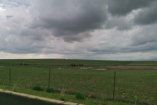 Private Full-Day Tour to Huitengxile Grassland from Hohhot - Who Should Consider This Tour?