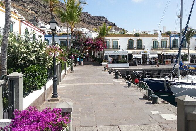 Private Full Day Tour to Morgan Port and Natural Inagua Reserve w/ Hotel pick-up - An Authentic Look at Gran Canaria’s Gems