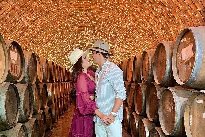 Private Full-Day Tour to Tequila Pueblo Magico - Overall Value and Practical Considerations