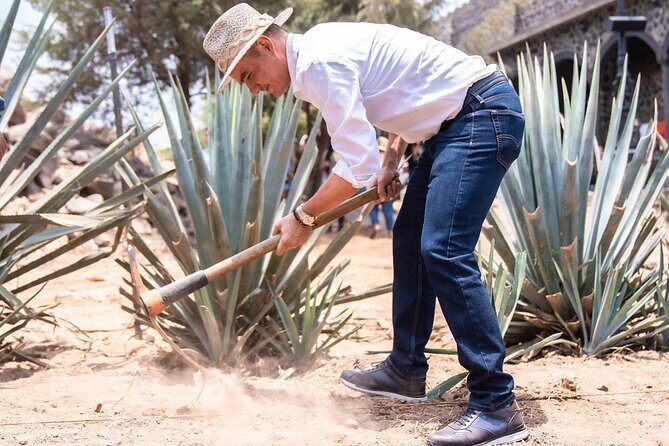 Private Full-Day Tour to Tequila Visiting El Castillo de Tequila - Mirador Tequila and the Extreme Swing
